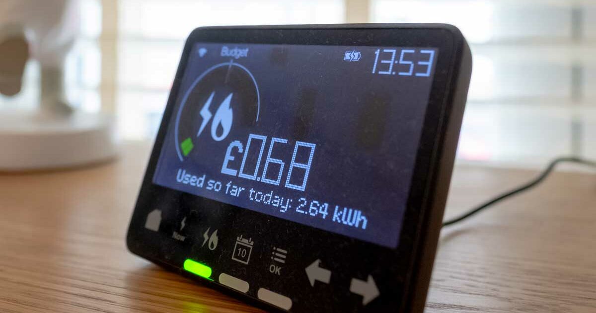 The REDUCE project on understanding household responses to in-home ...